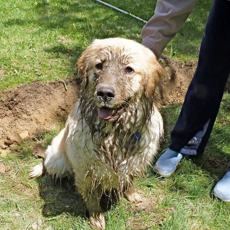 5 Reasons Why We Love Showering Outside | CapeCodShowerKits.com